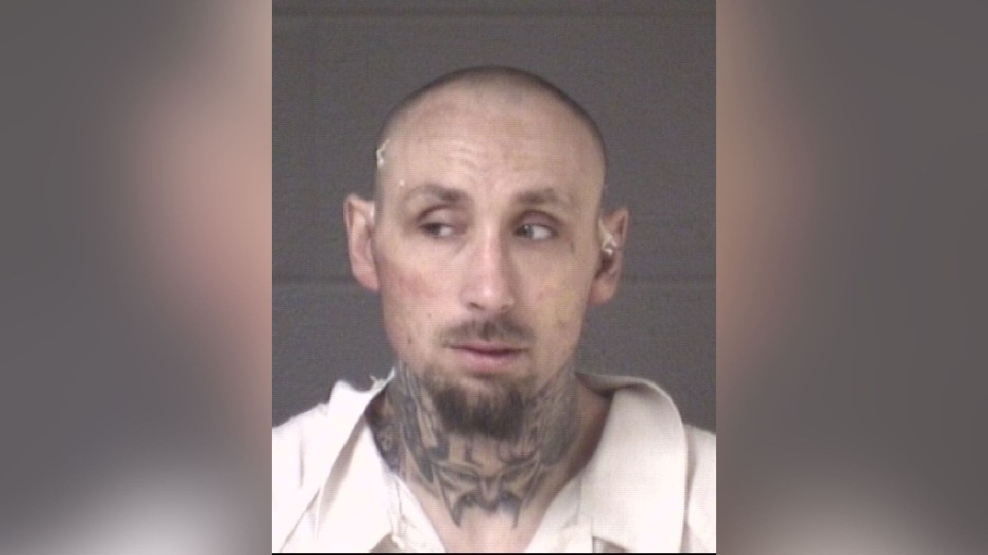 Police: Wanted fugitive arrested, drugs and guns seized in Asheville