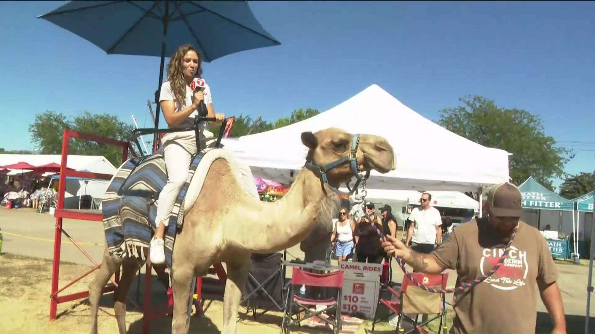 Western Idaho Fair offers camel rides