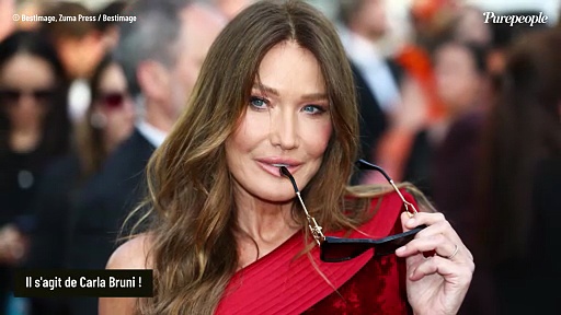 Jean-Jacques Goldman en couple avec Carla Bruni : leur relation très discrète après la fin de ...