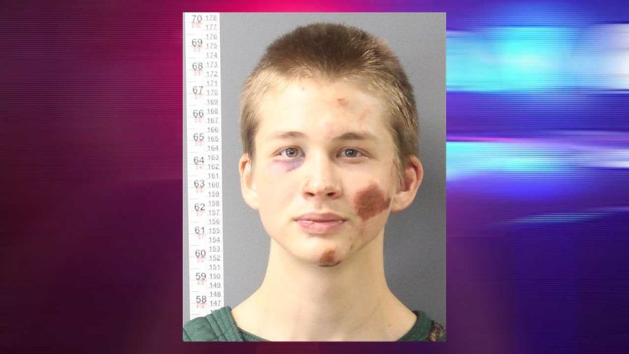 Gillett man sentenced for causing disturbance, assaulting police