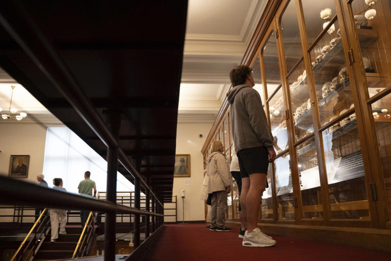 Medical museum in Philadelphia overhauls policies on human remains to ...