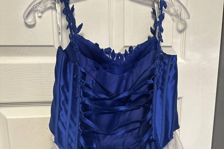Real life Cinderella flees prom in tears after cruel bullies rip up dress