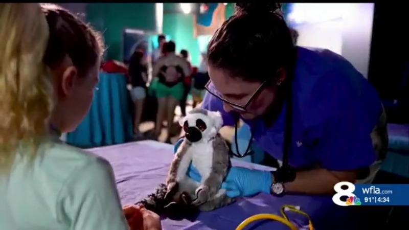 Stuffed animals get check-up at Florida Aquarium’s ‘Cuddle Clinic’ this ...