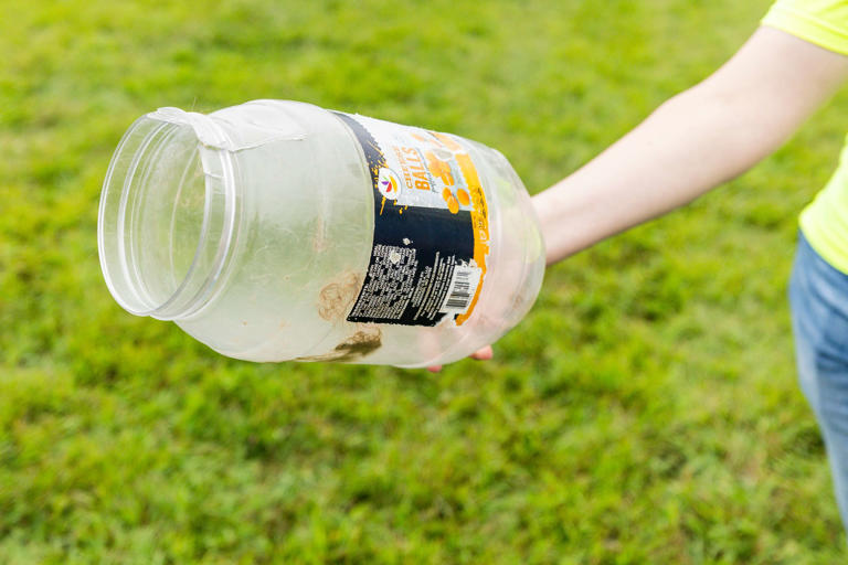 Pupdate: Central Pa. dog found with head stuck in jar is doing well