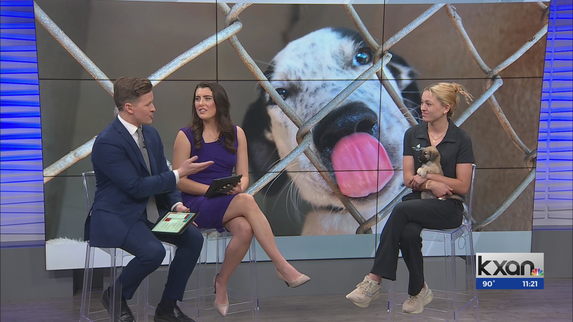 'Clear the Shelters' with the Hill Country Humane Society
