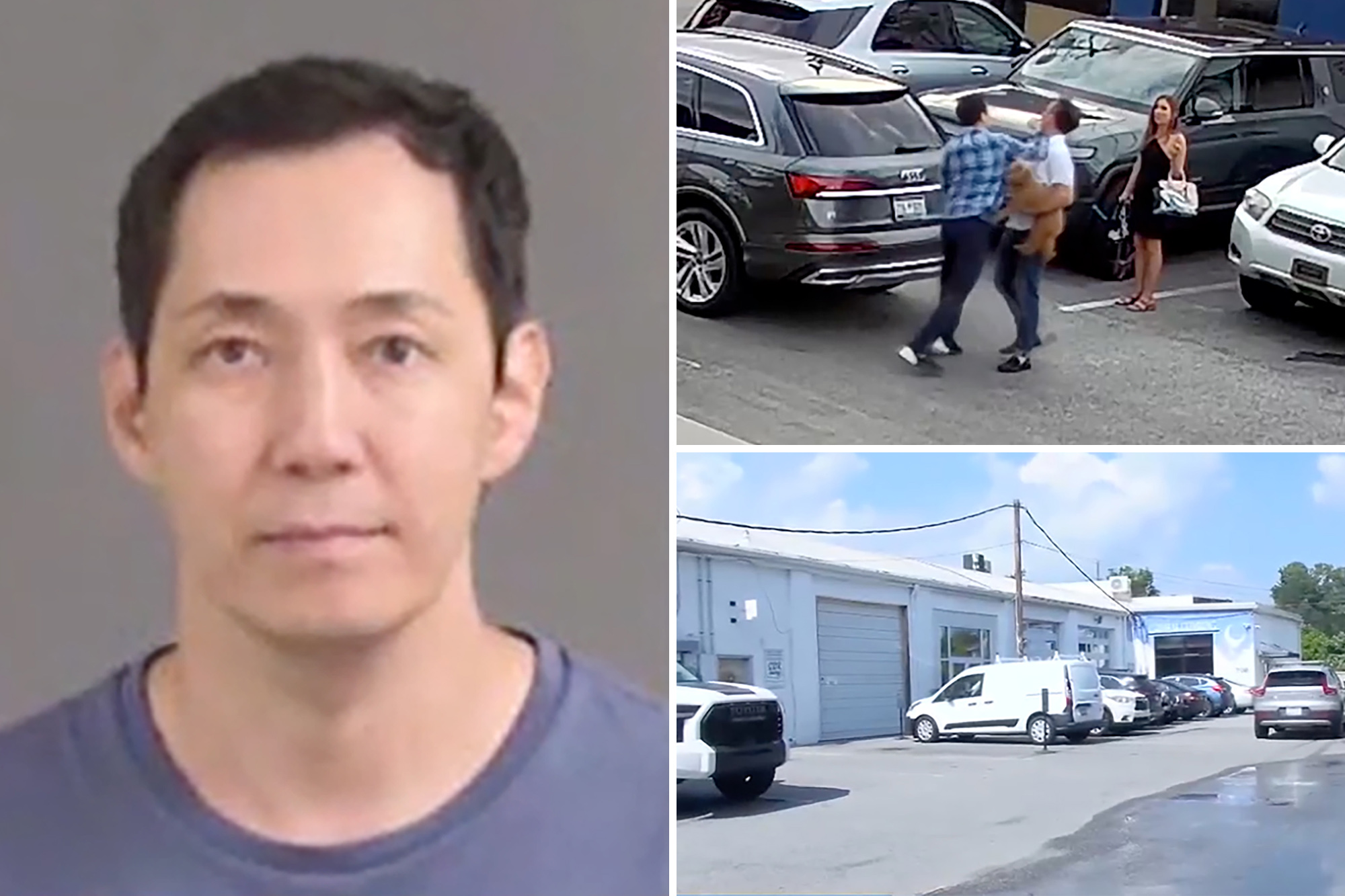 Shocking video shows CEO with service dog being knocked out by illegal ...