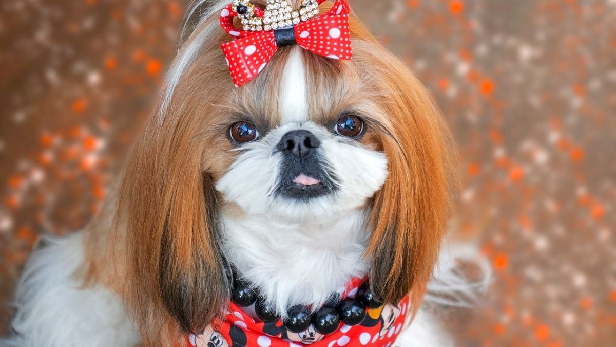15 common dog names veterinarians hear again and again