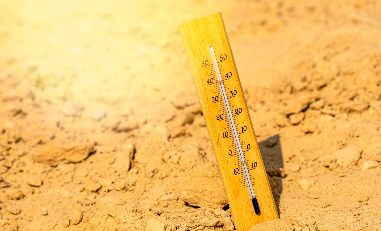 Chaleur extrême en 2025 : un été record qui pourrait devenir la norme ...