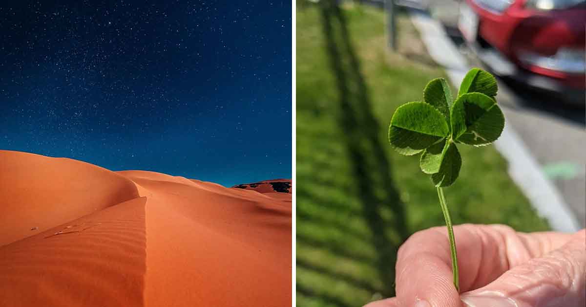 People Share Fascinating Sights They Saw Themselves