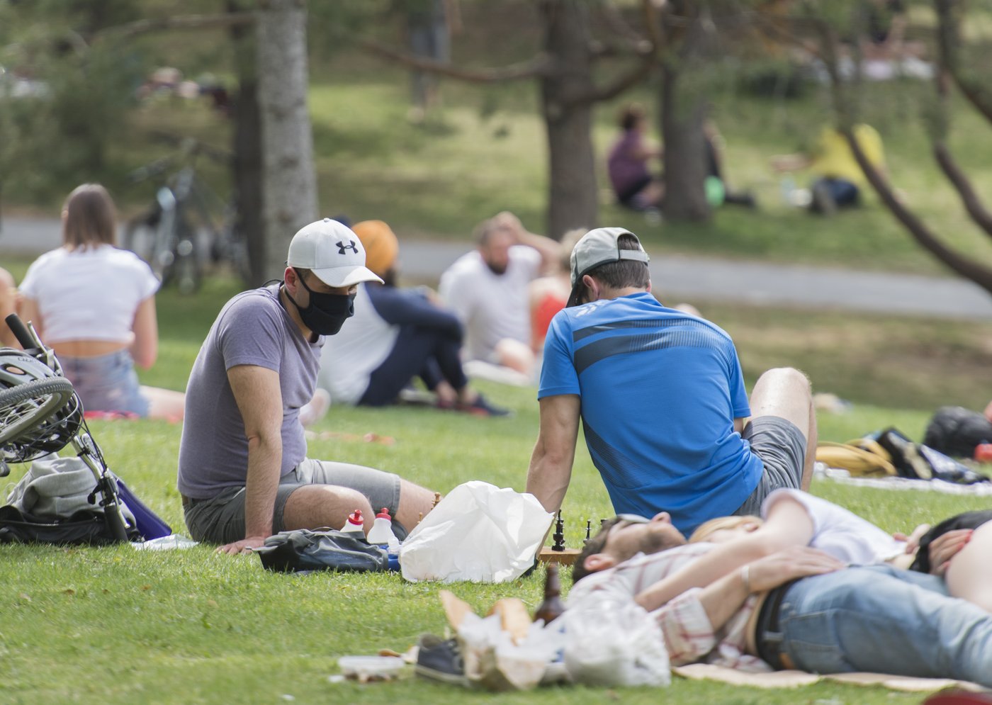 Urban greenspace a protective lifeline against COVID-19 depression ...