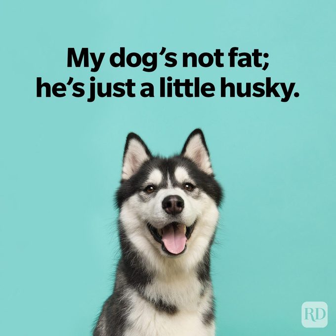 57 Dog Jokes and One-Liners That Are Fur-Real Funny
