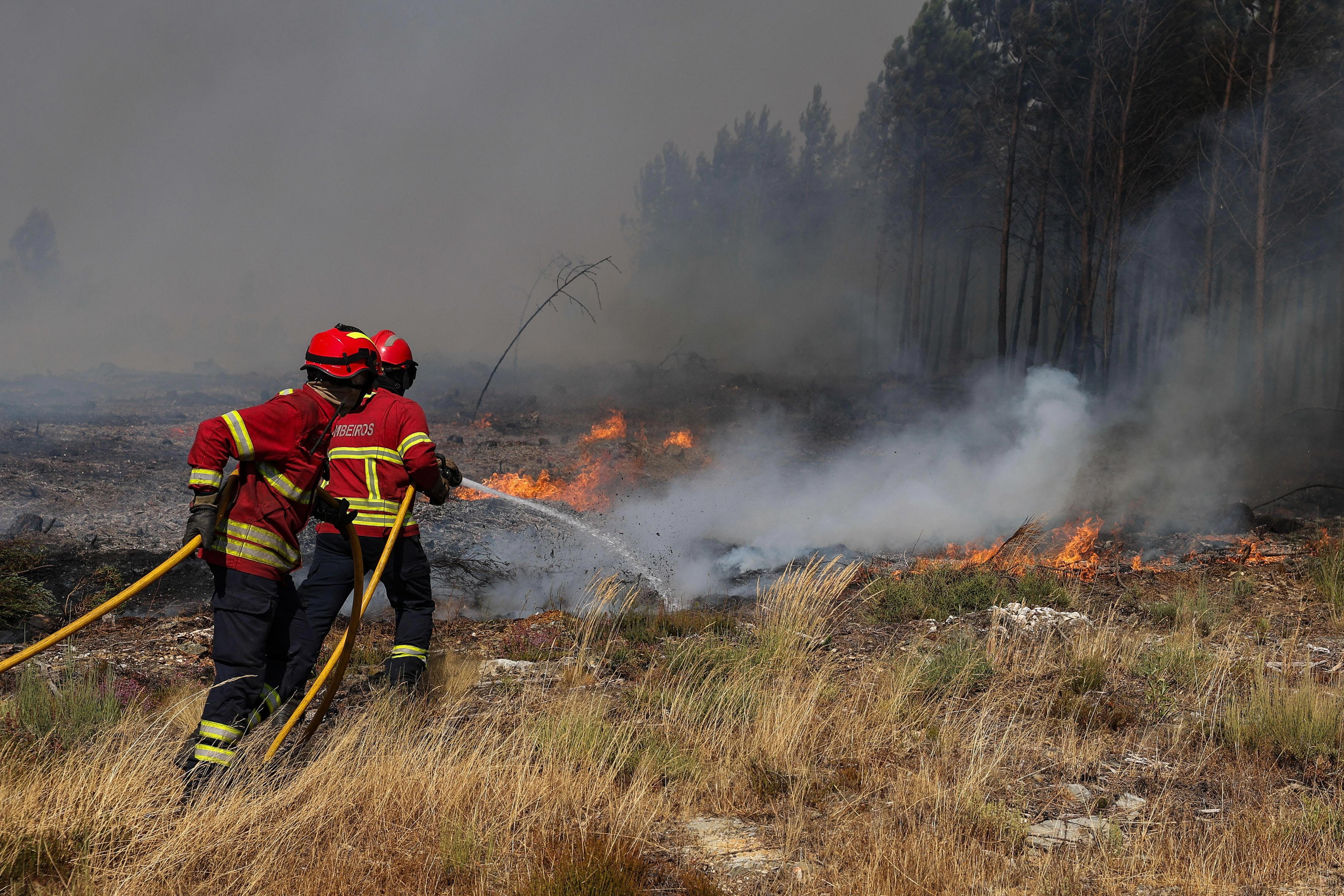 Frente de fogo com origem em Seia atinge Covilhã
