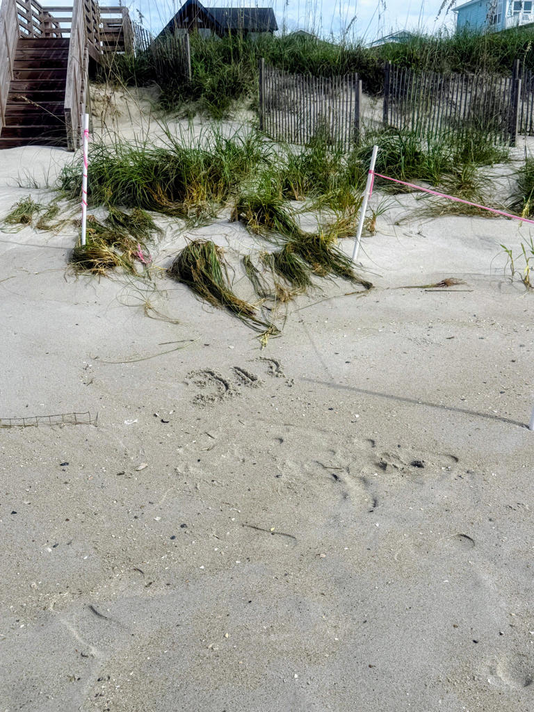 Washed away: Officials say Hurricane Erin likely took a big toll on NC ...