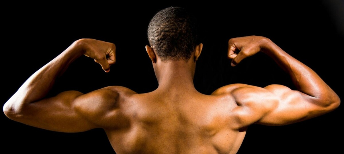 Building Muscle Later in Life