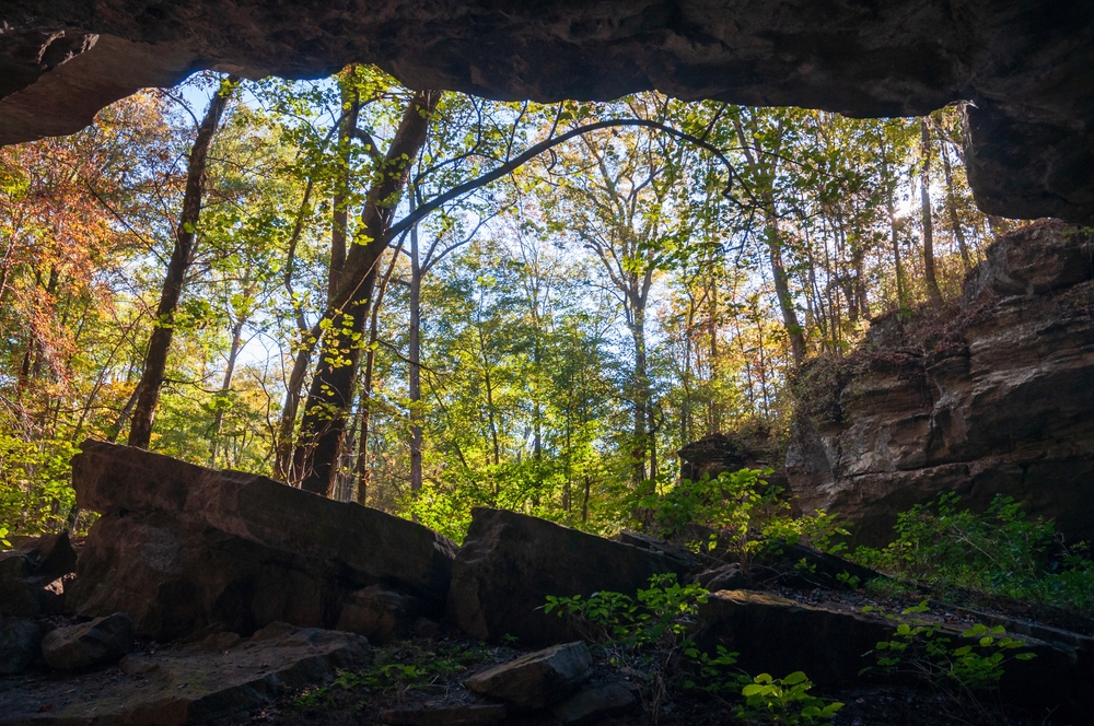 Alabama’s ancient cave that housed families all the way from the Ice Age