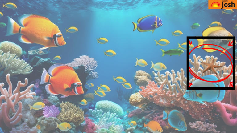 Using Your Hawk-Eye Vision with 20/20 EyeSight, Find The Hidden Star ...