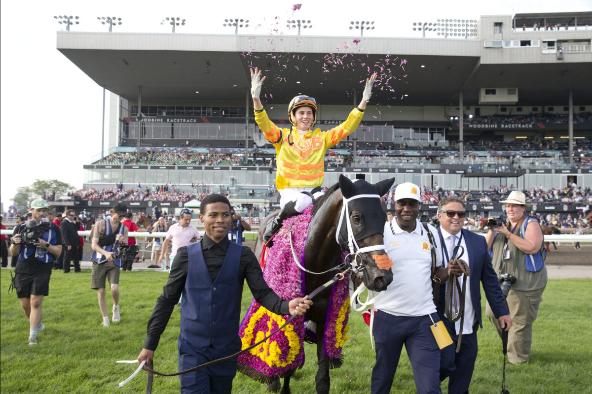 King's Plate winner Mansetti, dam of Cogburn among supplements to ...