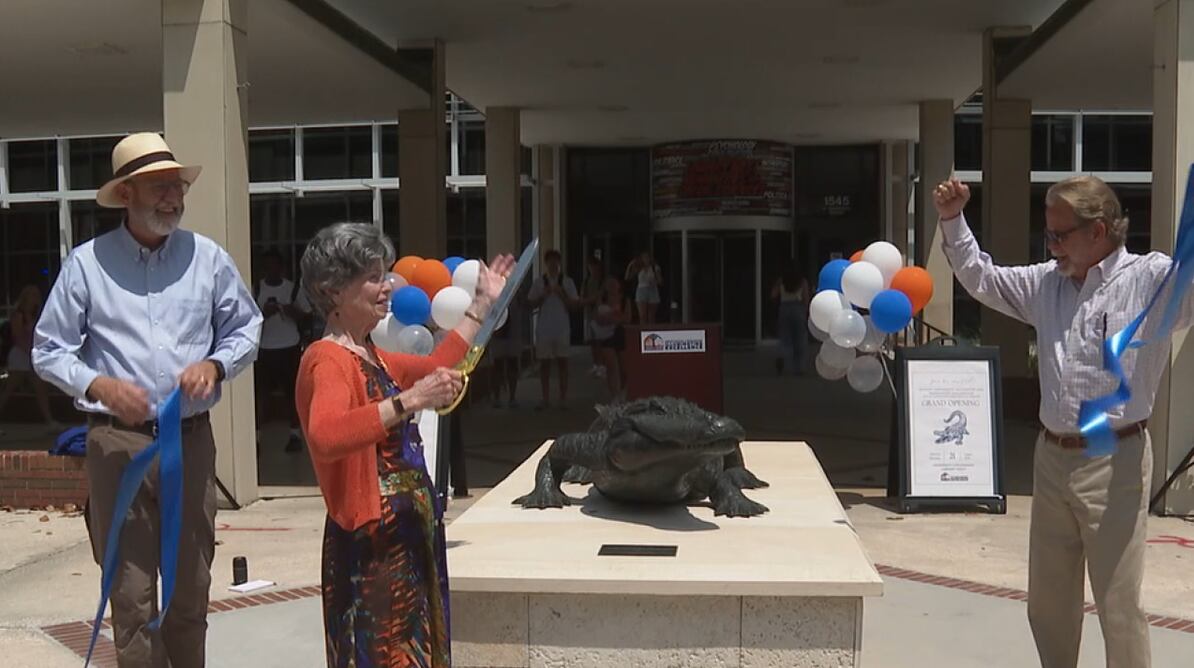 University of Florida unveils the sixth gator statue on campus