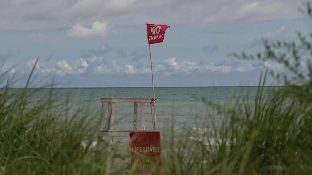 Niles North High School student dies after being pulled from Lake ...