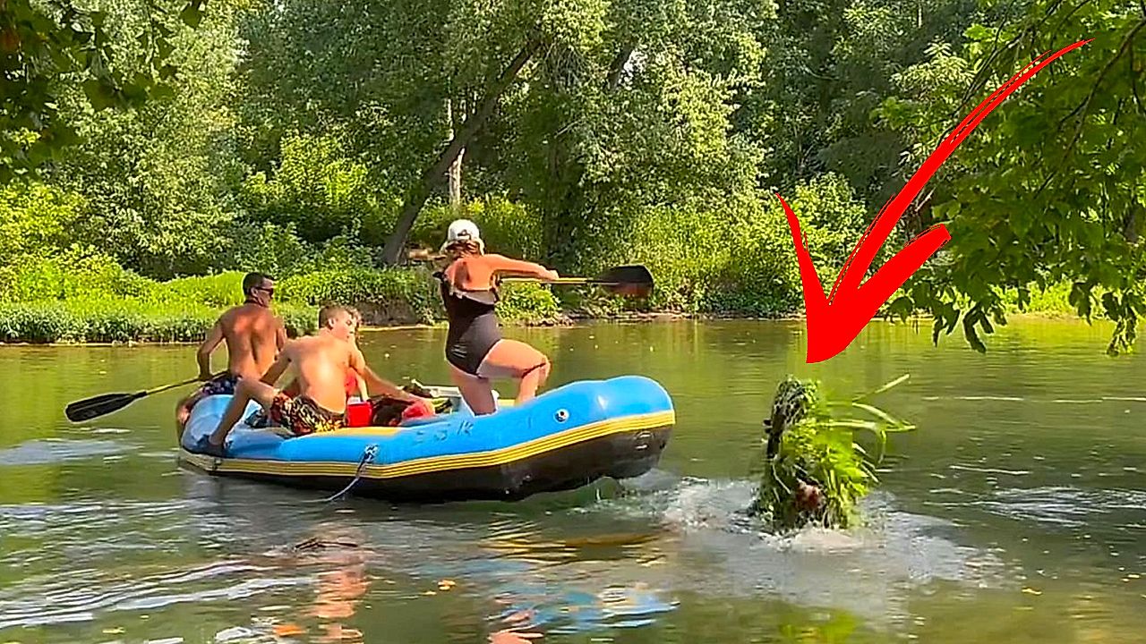 Prankster disguised as bush gives rafters hilarious scare on Missouri river
