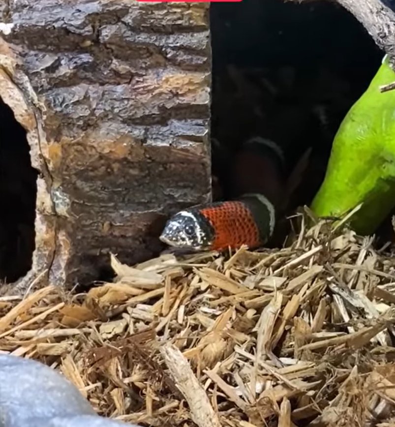 What's that smell?