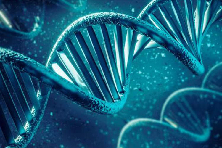 Panduan Lengkap Tes DNA: Manfaat, Jenis, dan Proses Pemeriksaan