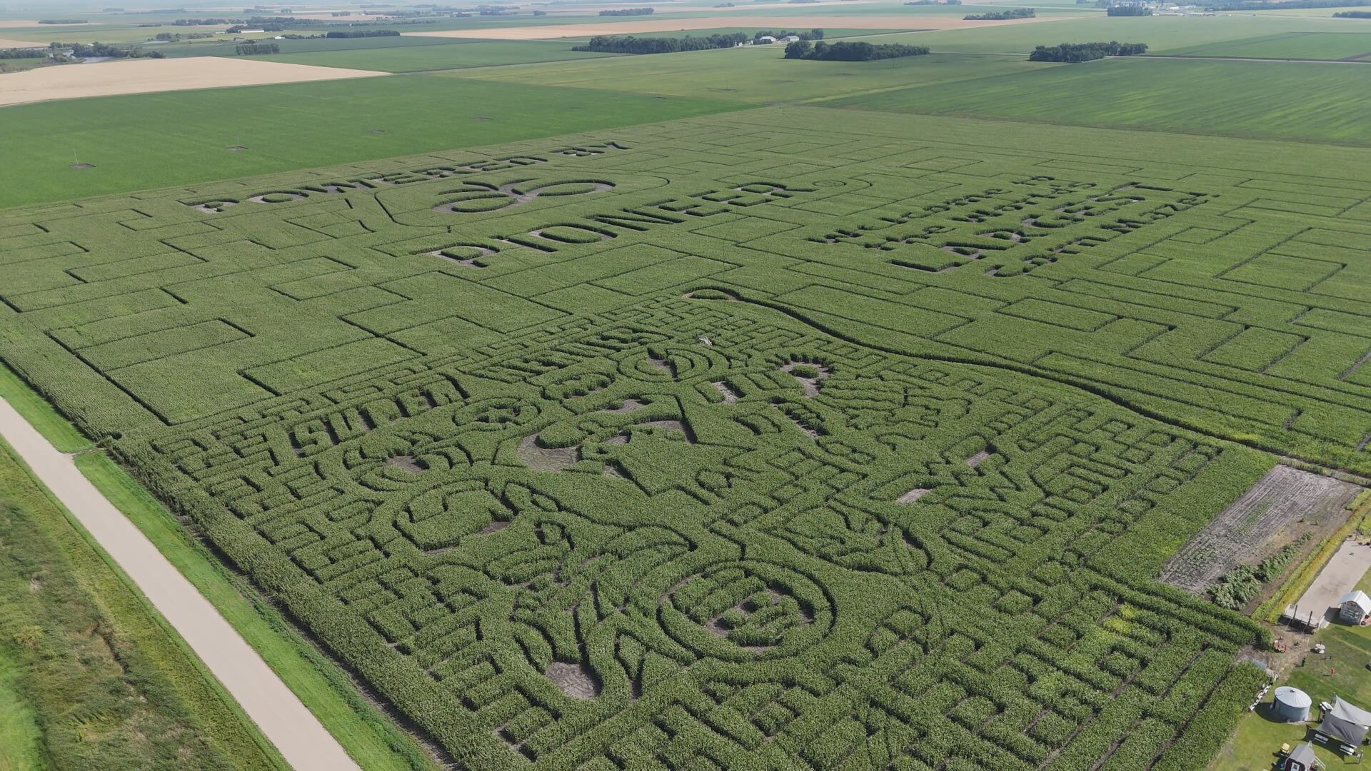 A look at the “World’s Largest Corn Maize” in East Grand Forks