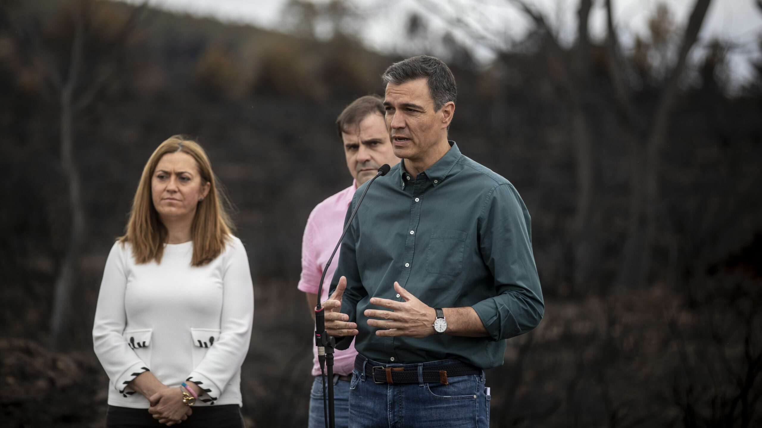 El principio de Peter (Sánchez)
