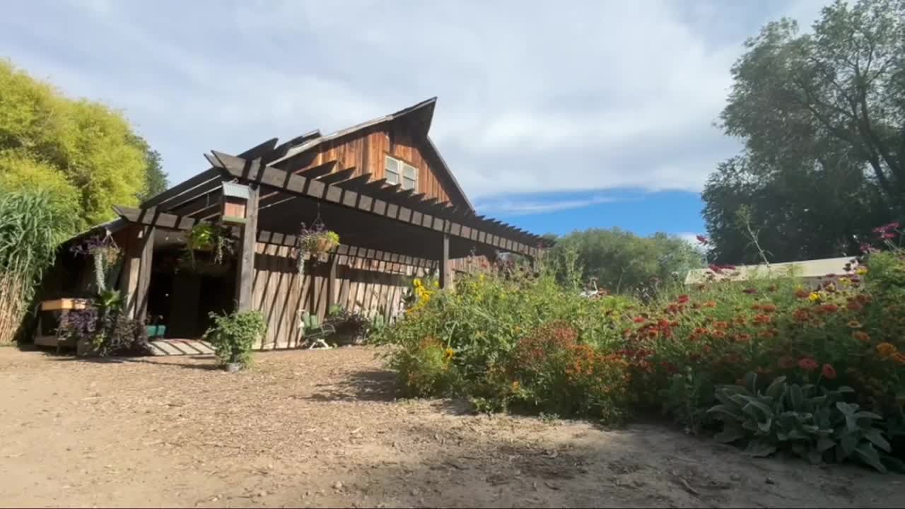 Mason Creek Flower Farm offers pick-your-own blooms in Nampa