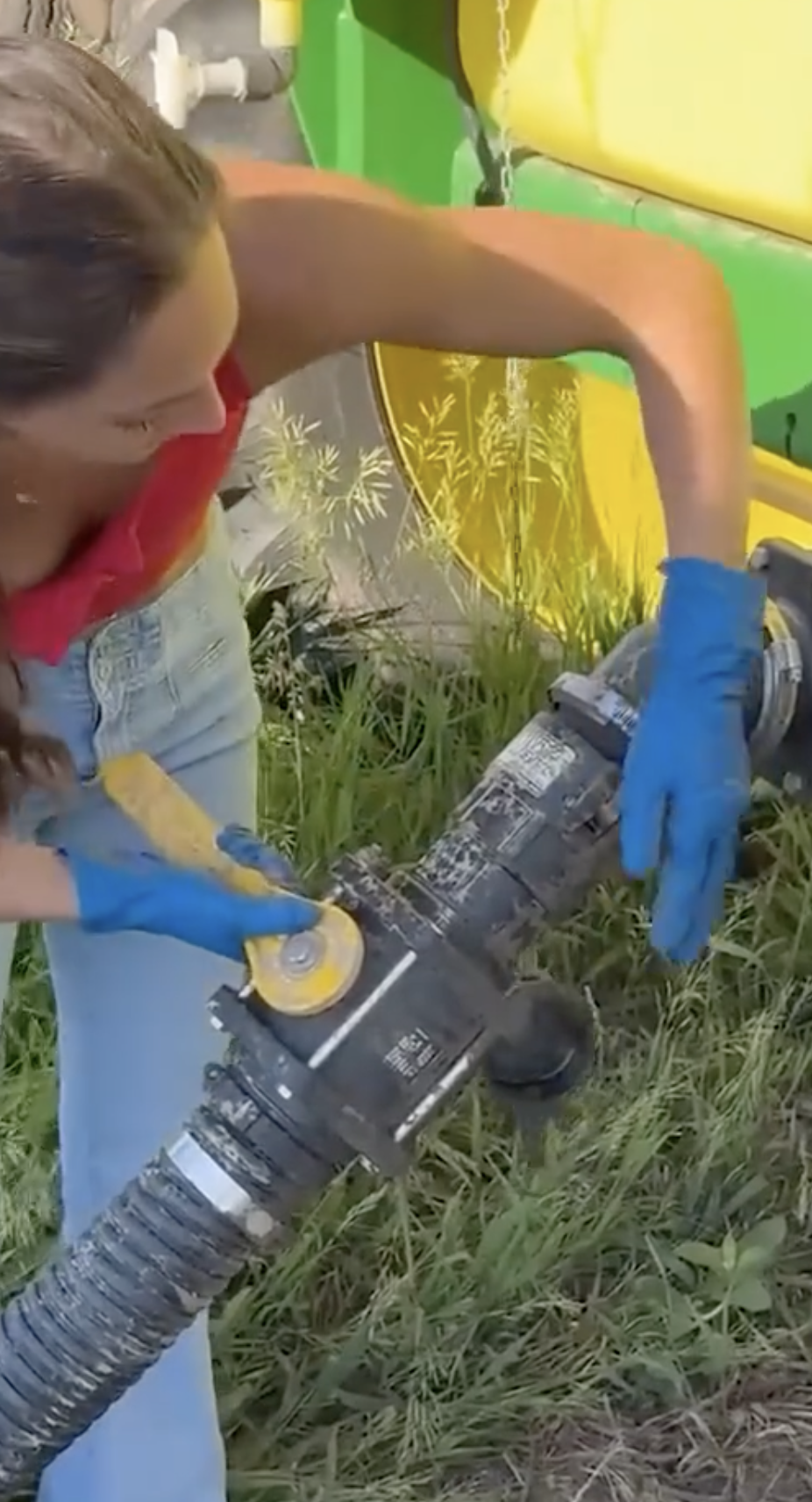 Fertilizing Corn Plants