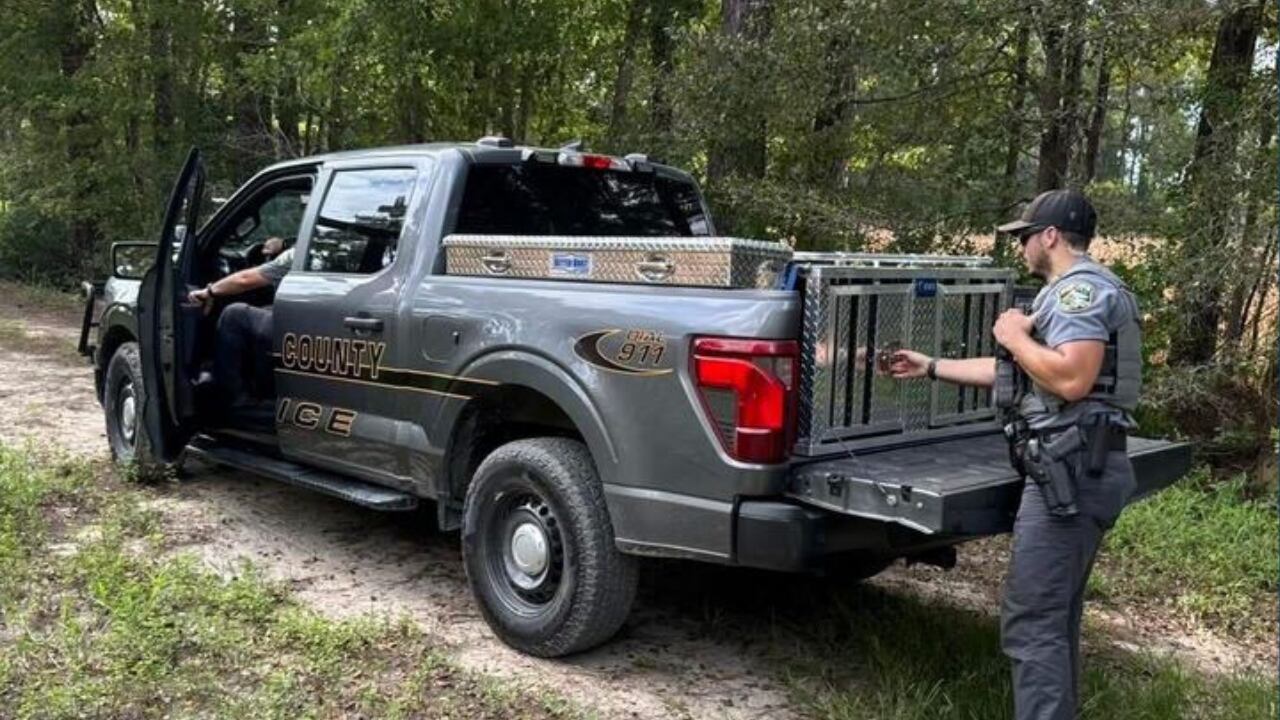 Charges expected as Horry County Police investigate animal cruelty case ...