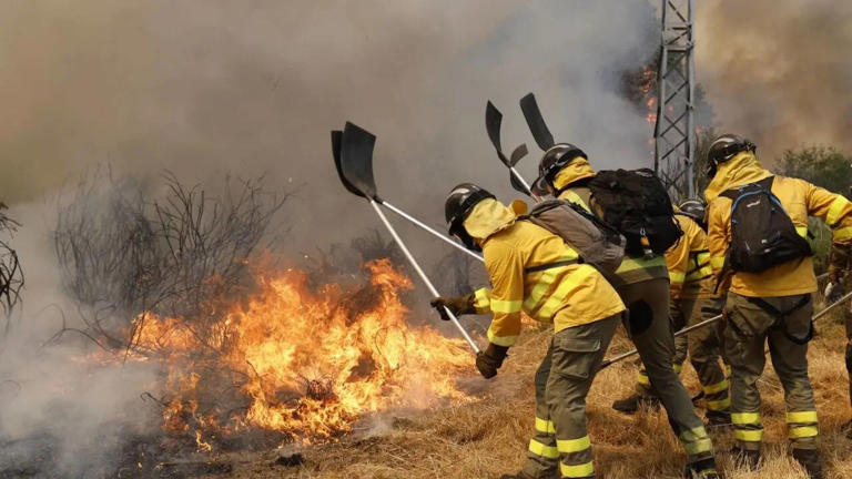 Pickett Fire Map: Check Places Under Napa County's ‘Go Now’ Evacuation ...