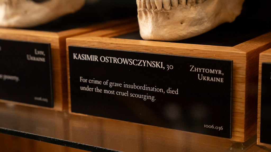 Philadelphia's Mutter Museum updates policies on human remains with ...