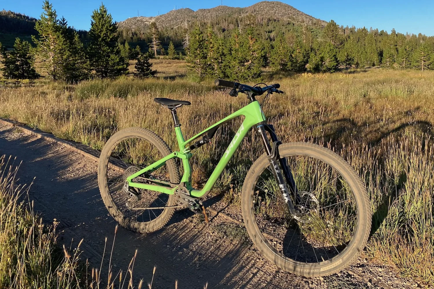 Salsa Spearfish Review: Zesty Green Salsa Blew My Expectations Out of ...