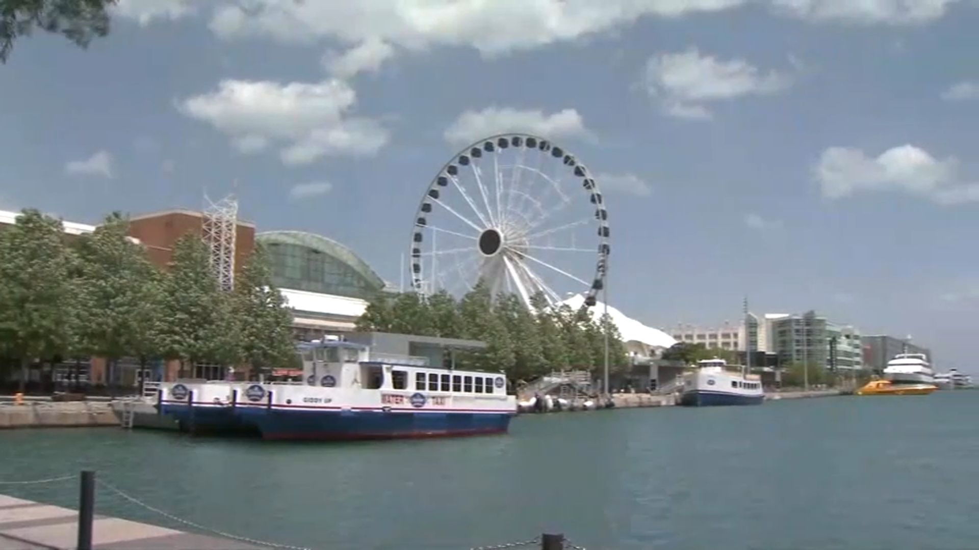 Jet skier dies after falling into water near Navy Pier