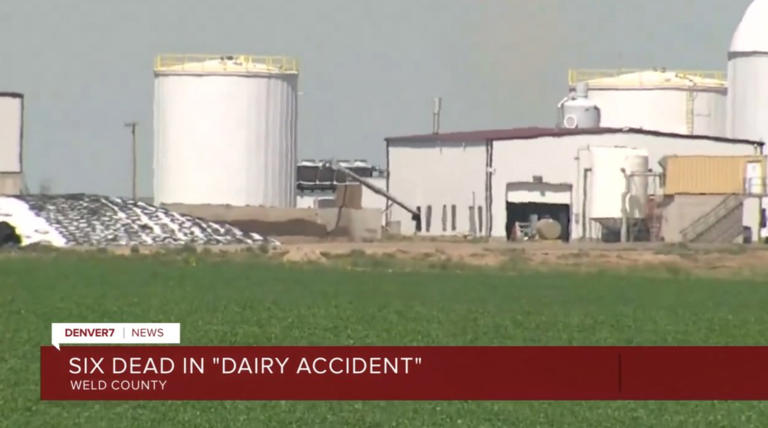 6 people dead in freak ‘dairy accident’ at Colorado farm