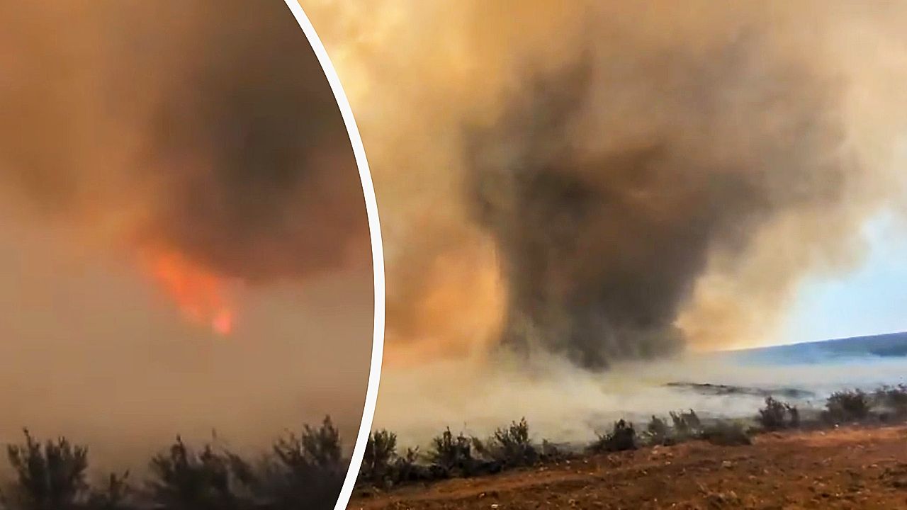 Dangerous natural phenomenon: Fire tornado rages during forest fire in ...