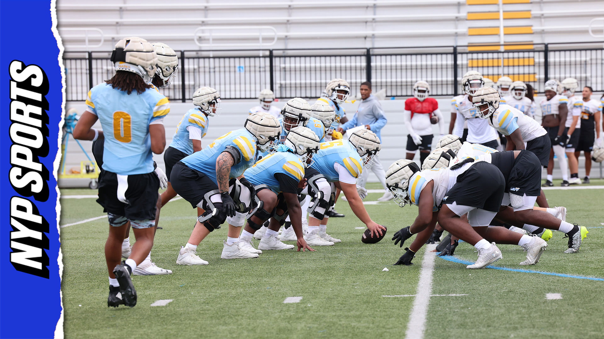 LIU QB Ethan Greenwood & head coach Ron Cooper on preparing for season ...