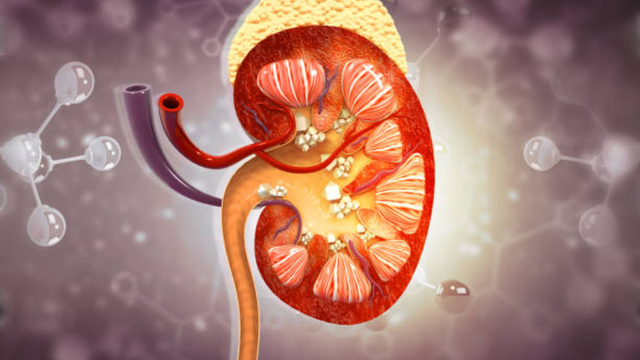 Diabetic nephropathy and kidney health: Doctor shares how to protect ...