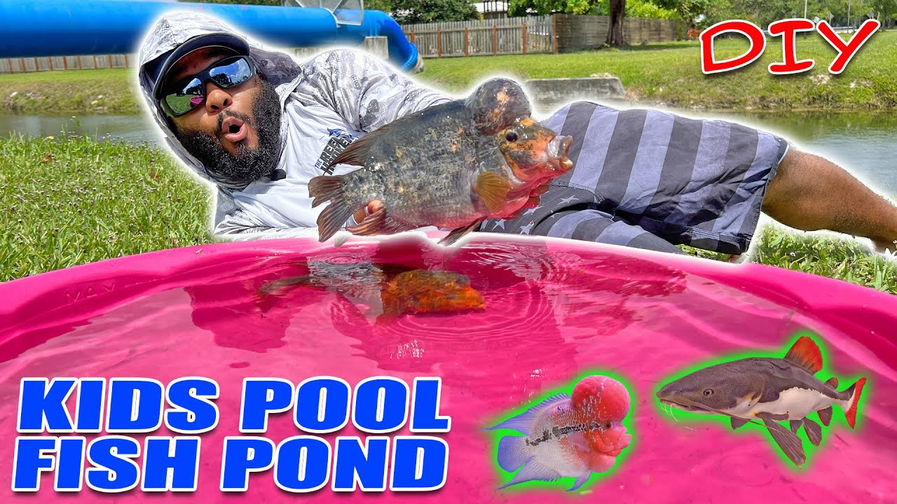 DIY Fish Pond Made From a Simple Kid’s Pool
