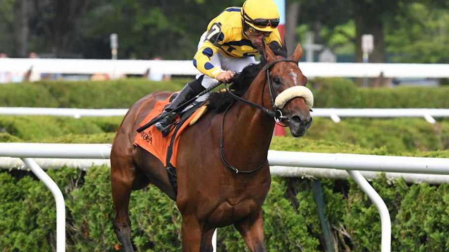 Red-hot Clement sends out Far Bridge for Sword Dancer repeat