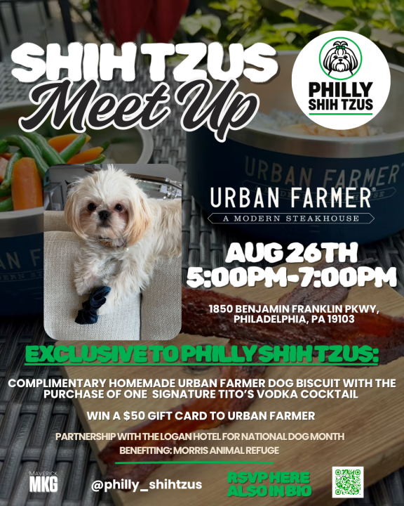 Philly Shih Tzu’s group to host meetup event this weekend