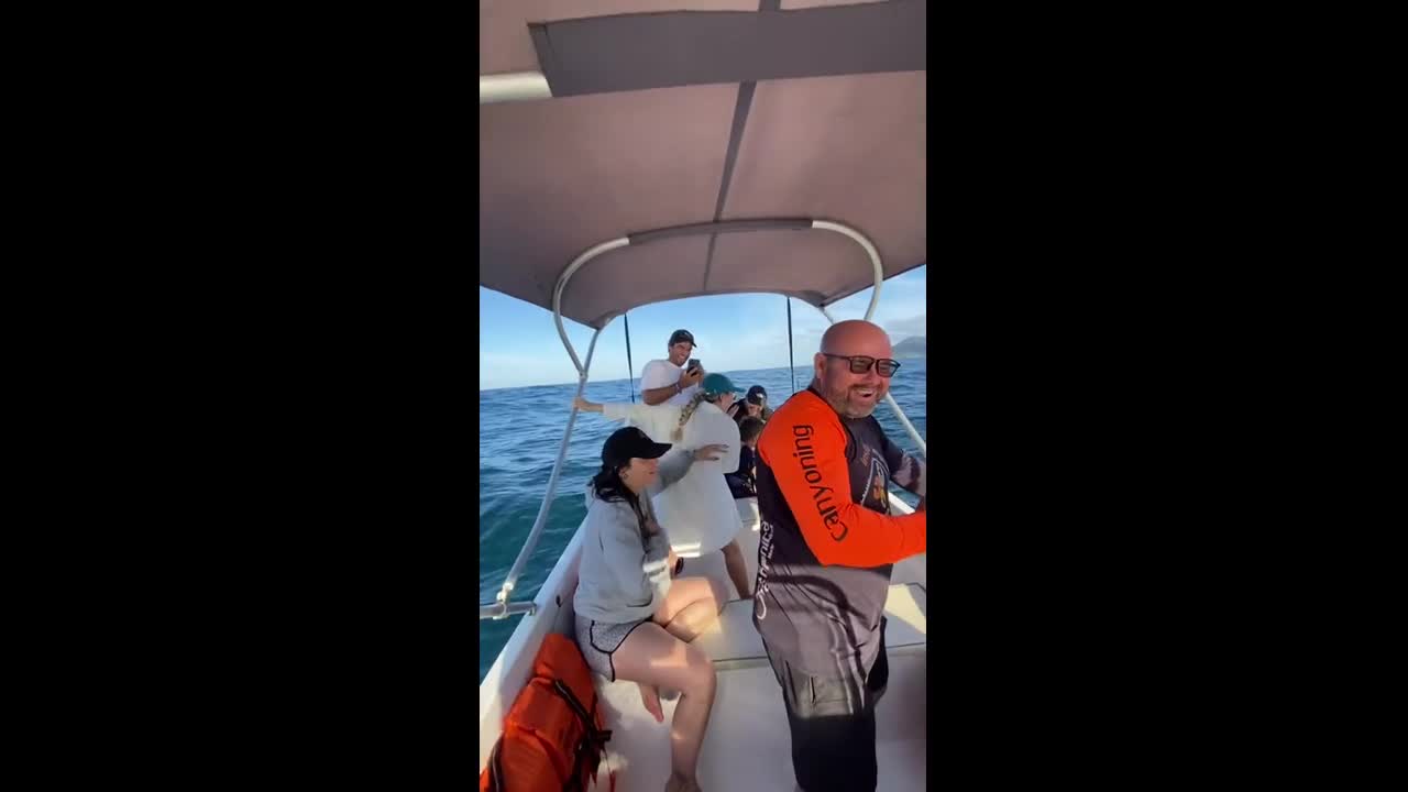 Whale spotted near boat in Castelhanos Bay, Ilhabela, Brazil