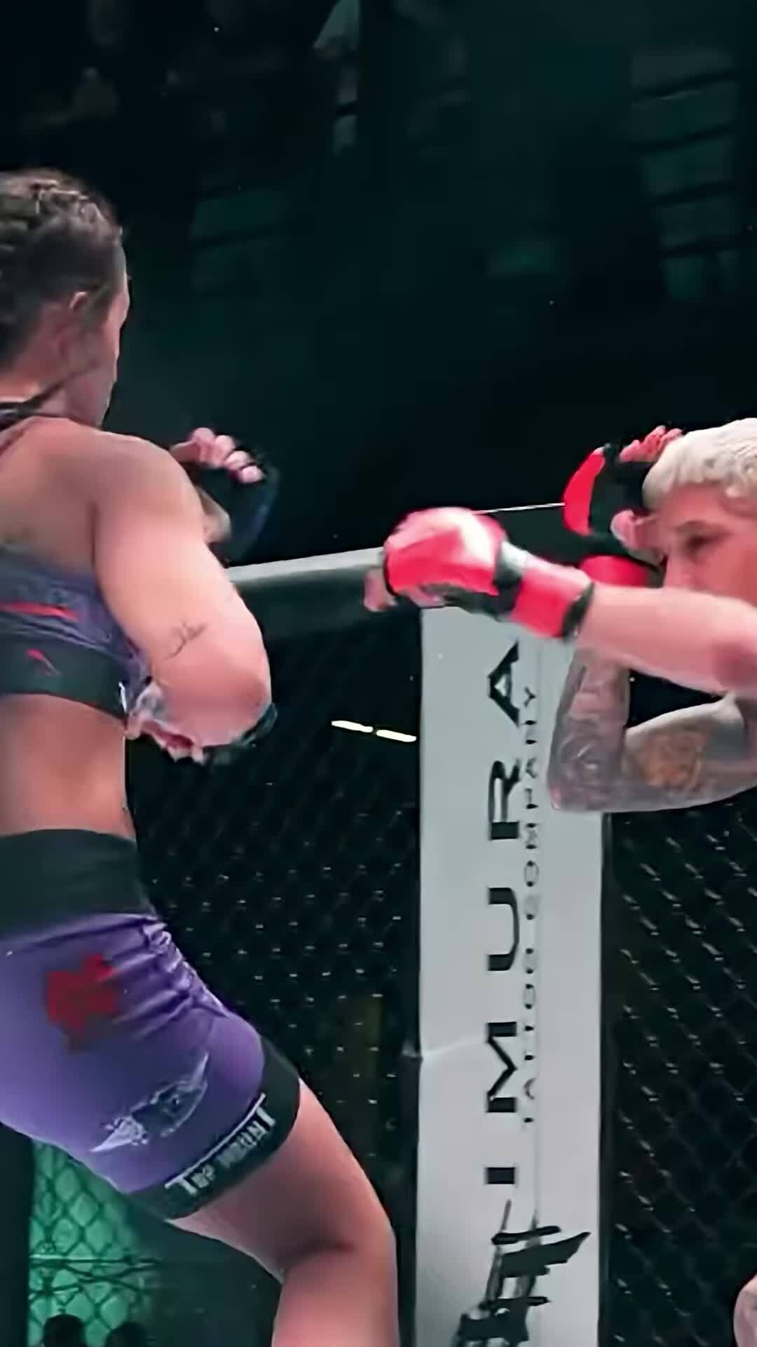 Trilogy Alert Lesnar VS Mir!