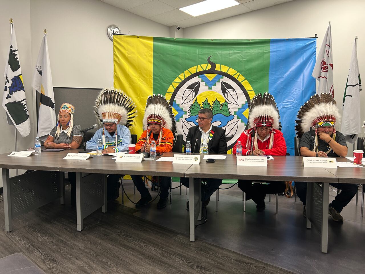 Investment in First Nations wildfire prevention needed to halt 'cycle ...
