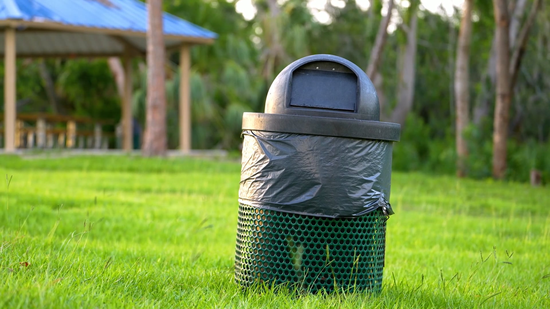 Trashing the planet: 7 things you should never put in the garbage