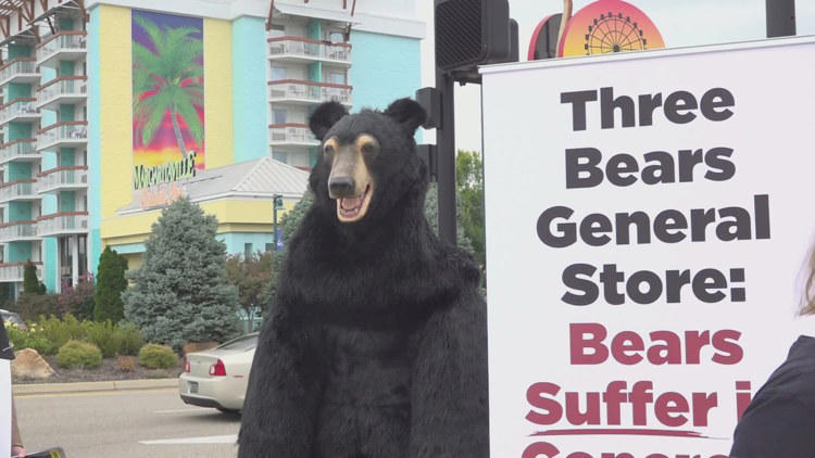 PETA supporters cited for unpermitted 'ornate object' while protesting ...