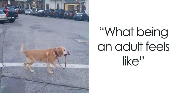 46 Painfully Funny Posts About Adulting That May Comfort You Knowing ...