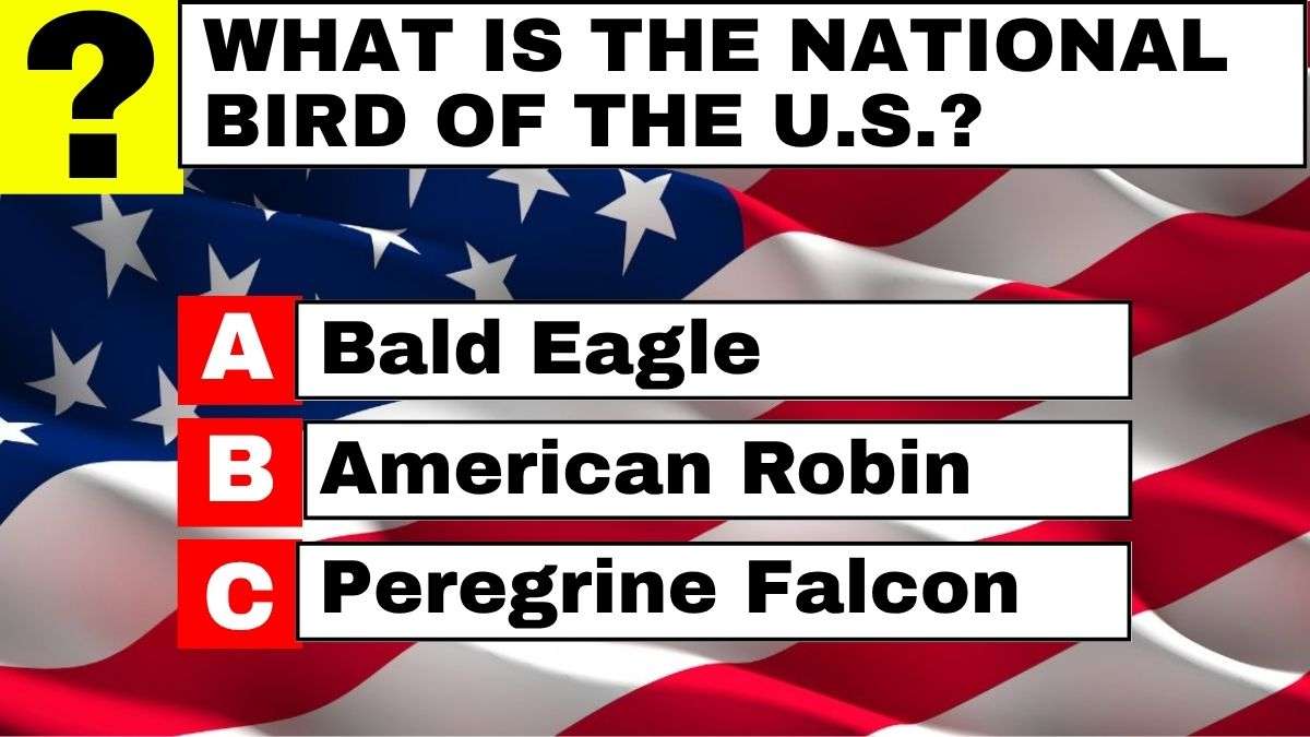 Trivia Questions With Answers: How Well Do You Know About The United ...