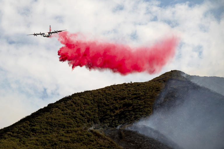 Berry Fire burns 50 acres in Napa County